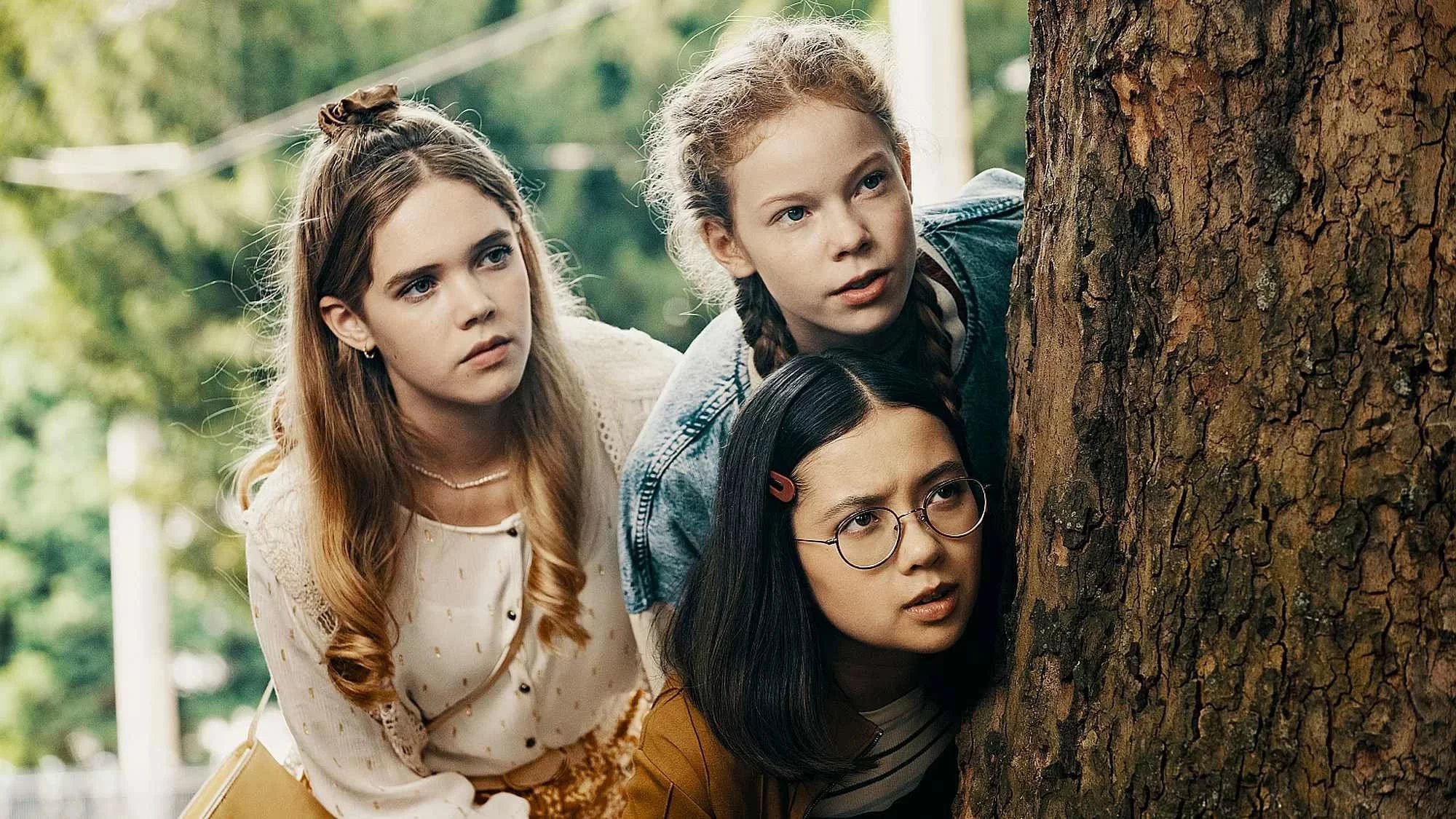 Franziska Winkler - Die drei